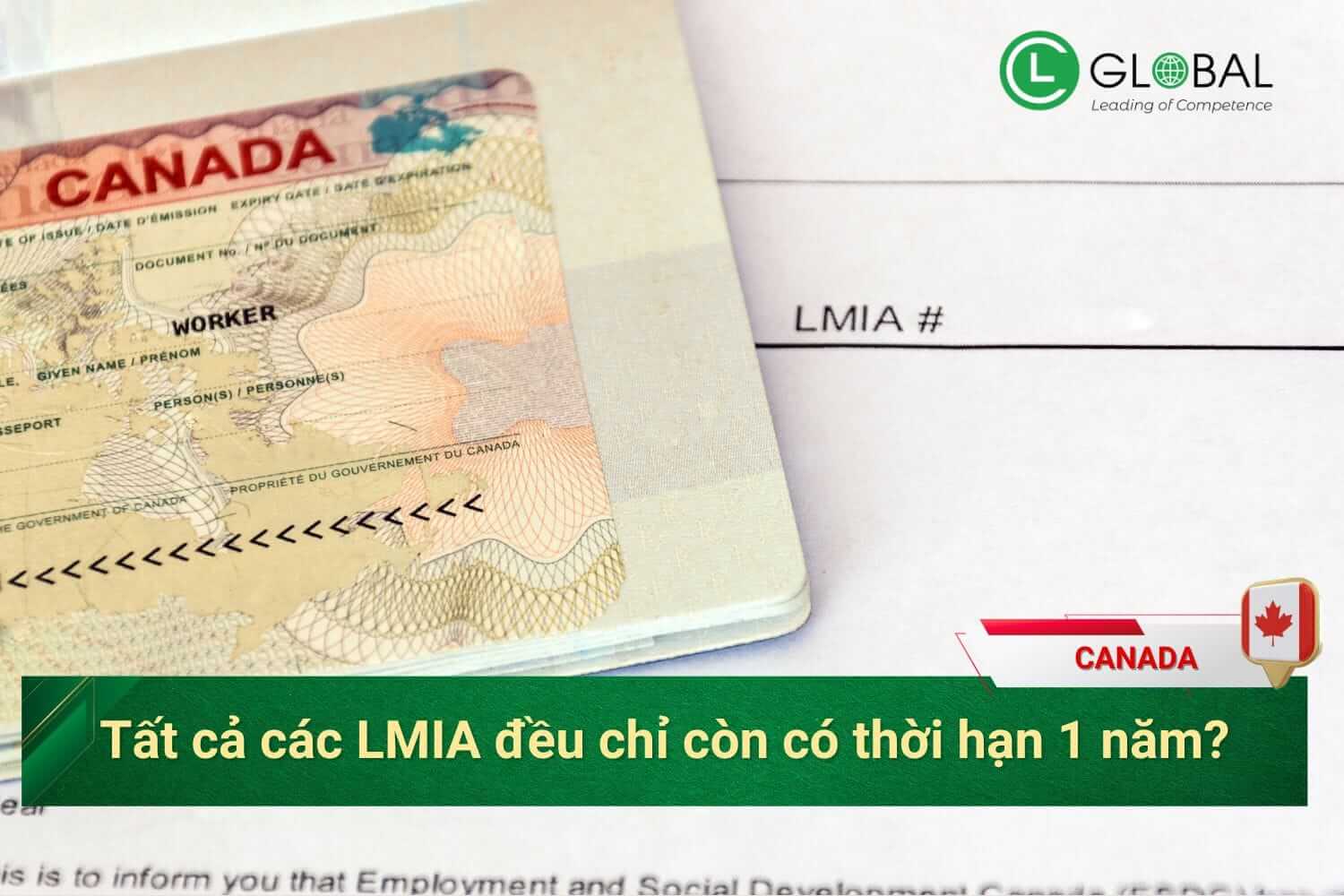 Tất cả các LMIA đều chỉ còn có thời hạn 1 năm? | L&C Global
